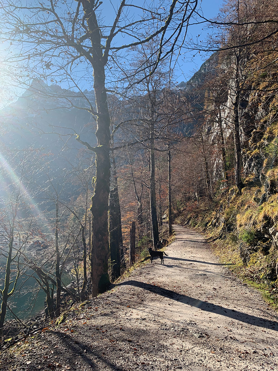 RUNDWEG UM DIE GOSAUSEEN – BERGKIND.AT